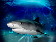 Sharks Of The Bermuda Triangle - Disney+