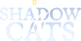 Shadow Cats - Disney+