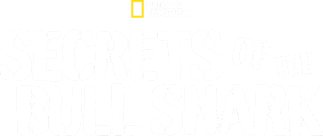 Secrets of the Bull Shark - Disney+