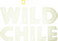 Wild Chile - Disney+