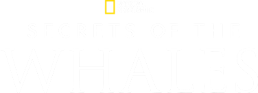 Secrets of the Whales - Disney+