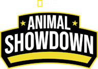 Animal Showdown - Disney+