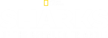 Sharks Of The Bermuda Triangle - Disney+