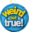 Weird But True! - Disney+