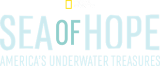 Sea of Hope: America's Underwater Treasures - Disney+