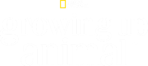 Growing Up Animal - Disney+