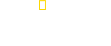 ซีรีส์ Secrets of the Whales Documentary รับชมได้เลยบน Disney+