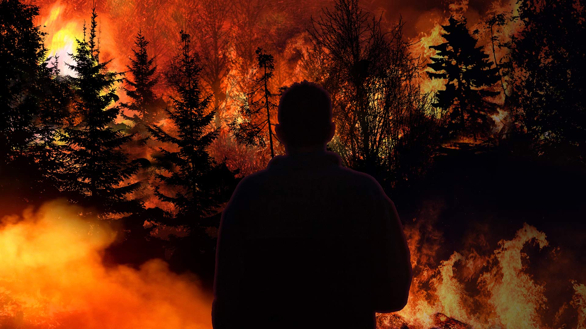 Witness To Disaster Documentary Series, now streaming on Disney+