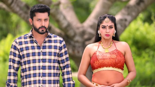 Watch Thaazhampoo Full Episode 19 Online in HD on Hotstar CA