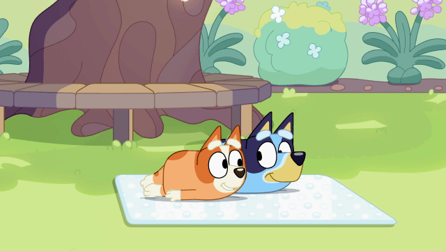 Watch Bluey Season 2 Episode 5 on Disney+ Hotstar