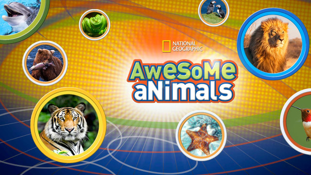 Awesome Animals, Documentary TV Series - Nonton Semua Episode Terbaru ...