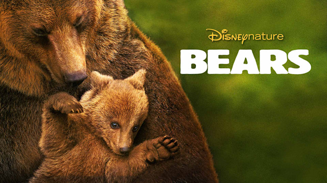 Bears - Disney+ Hotstar