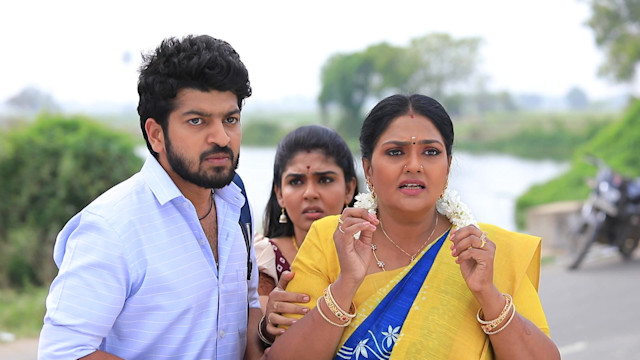 Watch Pandian Stores 2 Full Episode 71 Online in HD on Hotstar CA