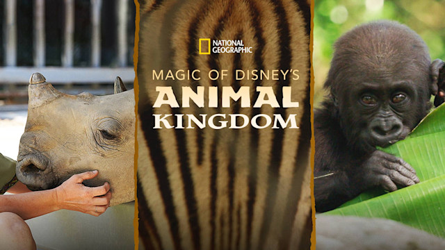 Magic of Disney's Animal Kingdom, Documentary TV Series - Nonton Semua ...