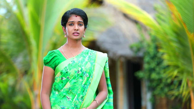 E20 - Jaanu Finds the Herbs - Disney+ Hotstar