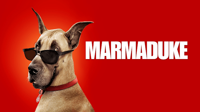 Marmaduke - Trailer - Disney+ Hotstar