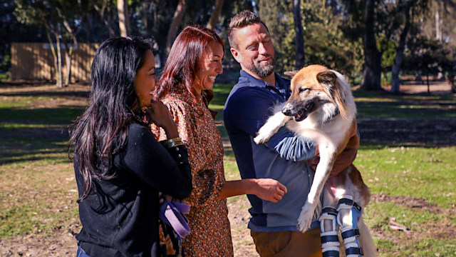 Watch The Wizard of Paws Season 2 Episode 5 on Disney+ Hotstar