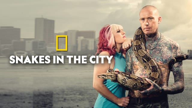 Watch All Seasons of Snakes In The City on Disney+ Hotstar