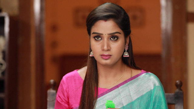 Watch Raja Rani 2 Season 2 Episode 491 on Disney+ Hotstar