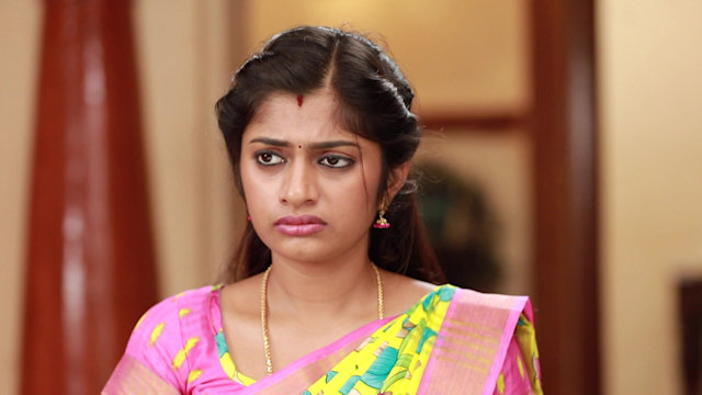 Watch Raja Rani 2 Season 2 Episode 446 on Disney+ Hotstar