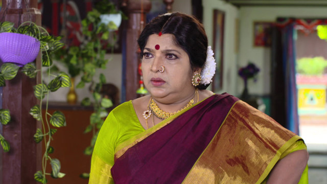 Vadinamma - Watch Episode 307 - Parvati, a Troublemaker on Disney+ Hotstar
