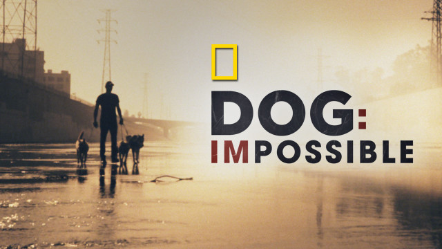 Dog Impossible, Wildlife TV Series - Nonton Semua Episode Terbaru ...