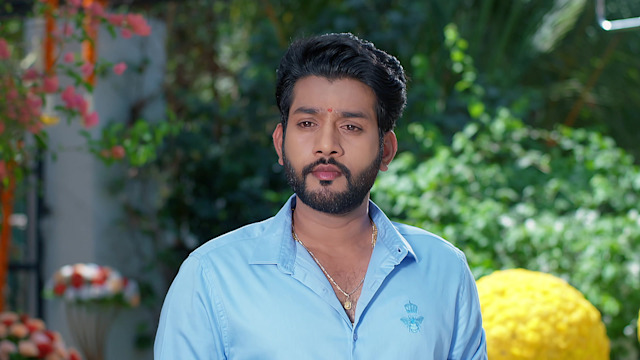 Watch Maguva O Maguva Full Episode 14 Online in HD on Disney+ Hotstar US