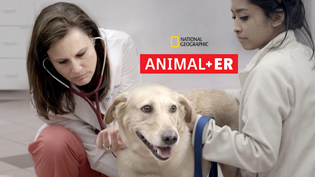 Animal ER - Disney+ Hotstar
