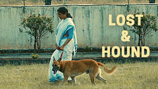 Lost and Hound - Disney+ Hotstar