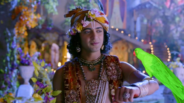 Watch RadhaKrishn Full Episode 245 Online in HD on Hotstar US