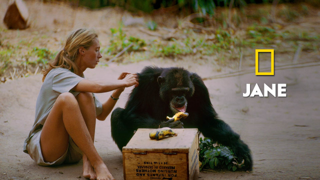 รับชมตัวอย่างจาก Jane - Trailer บน Disney+ Hotstar