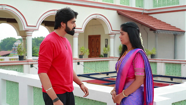 Watch Mahanadhi Full Episode 196 Online in HD on Hotstar CA