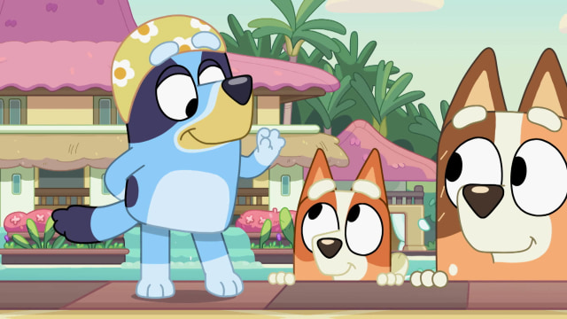 Disney+ Hotstar - Watch TV Shows, Movies, Live Cricket Matches & News ...