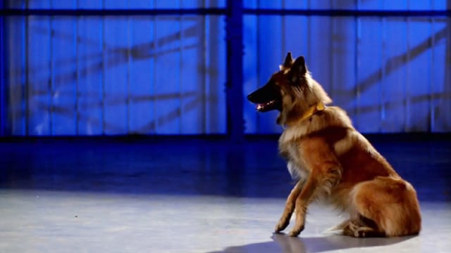 Watch Science of Stupid Season 3 Episode 34 on Disney+ Hotstar