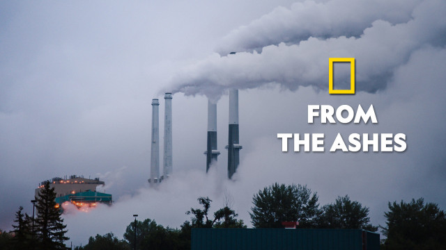 From The Ashes - Disney+ Hotstar