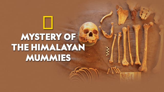 Mystery of the Himalayan Mummies - Disney+ Hotstar