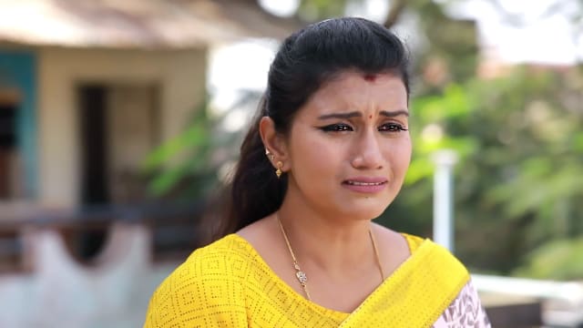 Watch Raja Rani 2 Full Episode 461 Online in HD on Hotstar US