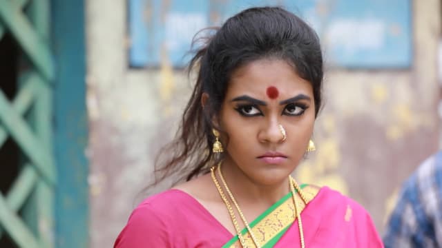 Watch Raja Rani 2 Full Episode 387 Online in HD on Hotstar US