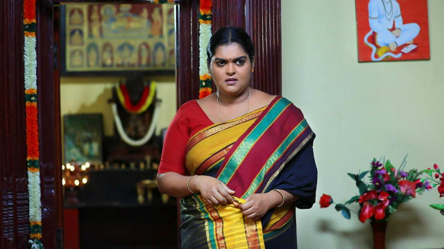 Watch Shruthi Seridaga Full Episode 78 Online in HD on Hotstar US