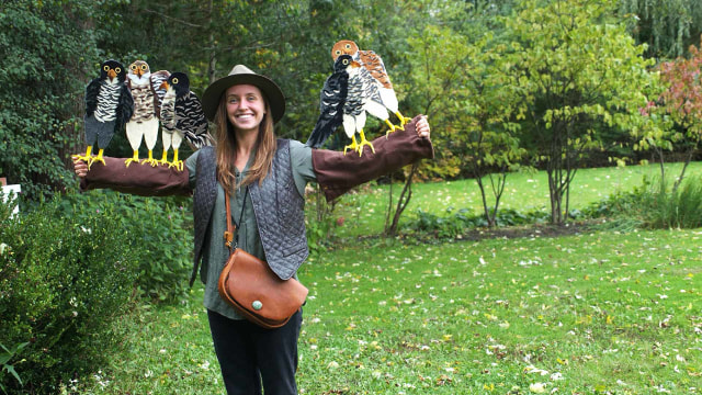 Nonton Weird But True! Season 1 Episode 13 - Kirby The Falconer di Hotstar