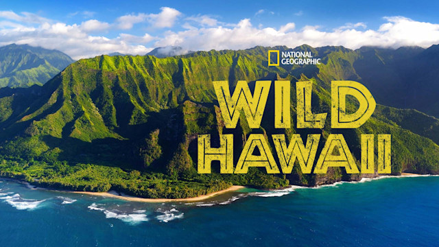 Wild Hawaii - Trailer - Disney+ Hotstar