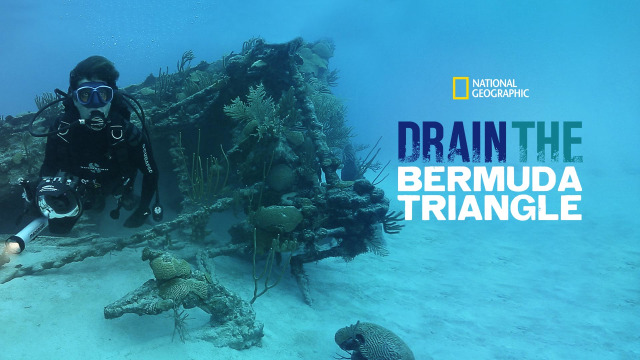 Watch a clip from Drain The Bermuda Triangle - Trailer on Disney+ Hotstar