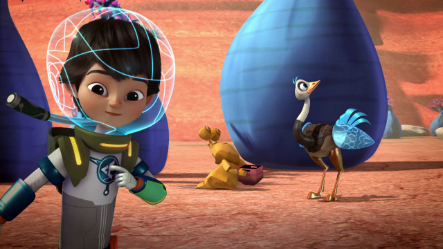 Disney+ Hotstar - Watch TV Shows, Movies, Live Cricket Matches & News ...