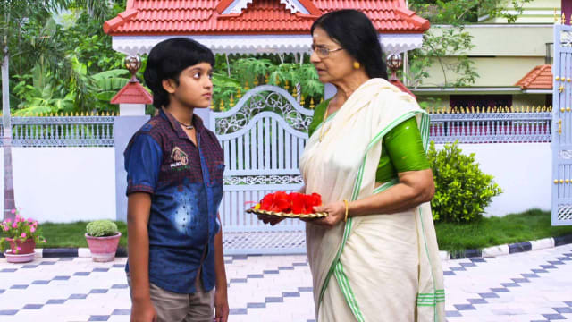 Vanambadi - Watch Episode 37 - Will Anumol Expose Padmini? on Disney+ ...