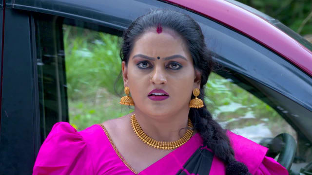 Watch Vanambadi Full Episode 186 Online in HD on Hotstar US