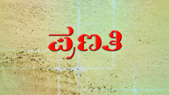 Pranathi - Disney+ Hotstar