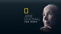 Jane Goodall: The Hope - Disney+ Hotstar