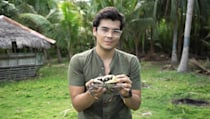 Origins - Watch Episode 8 - World's Smallest Edible Fish in Bicol on ...