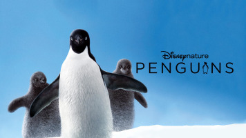 Penguins - Disney+ Hotstar