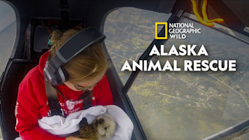 Alaska Animal Rescue, Comedy TV Series - Nonton Semua Episode Terbaru ...